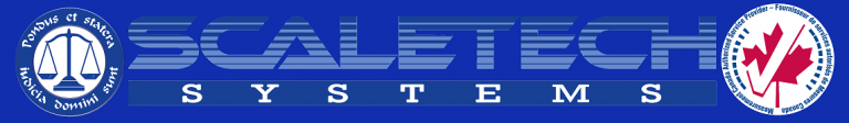 Services – Scaletech Systems